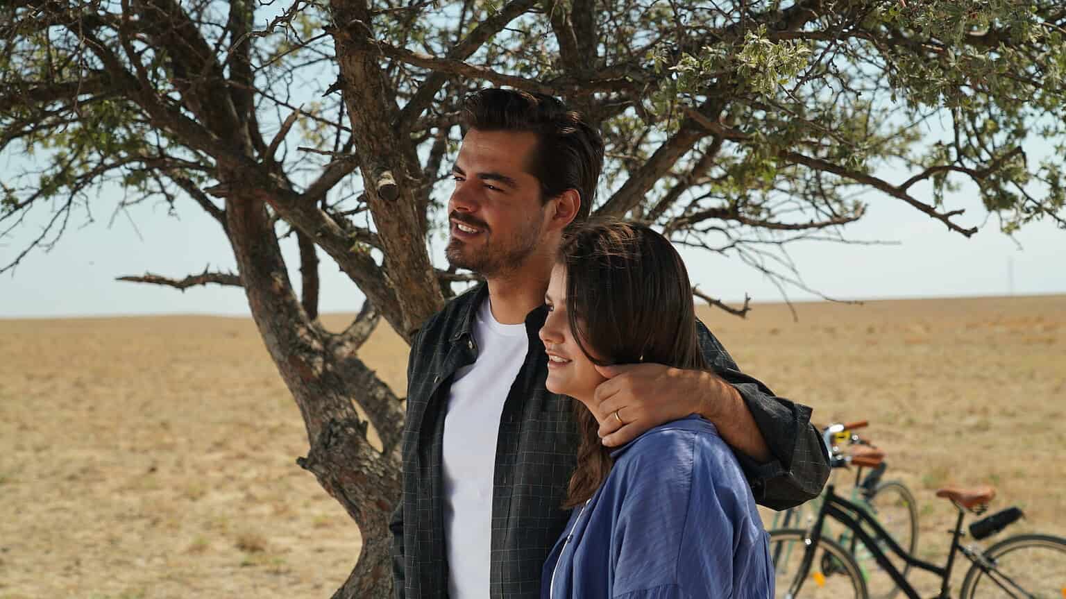 The Bear - Diziler.com