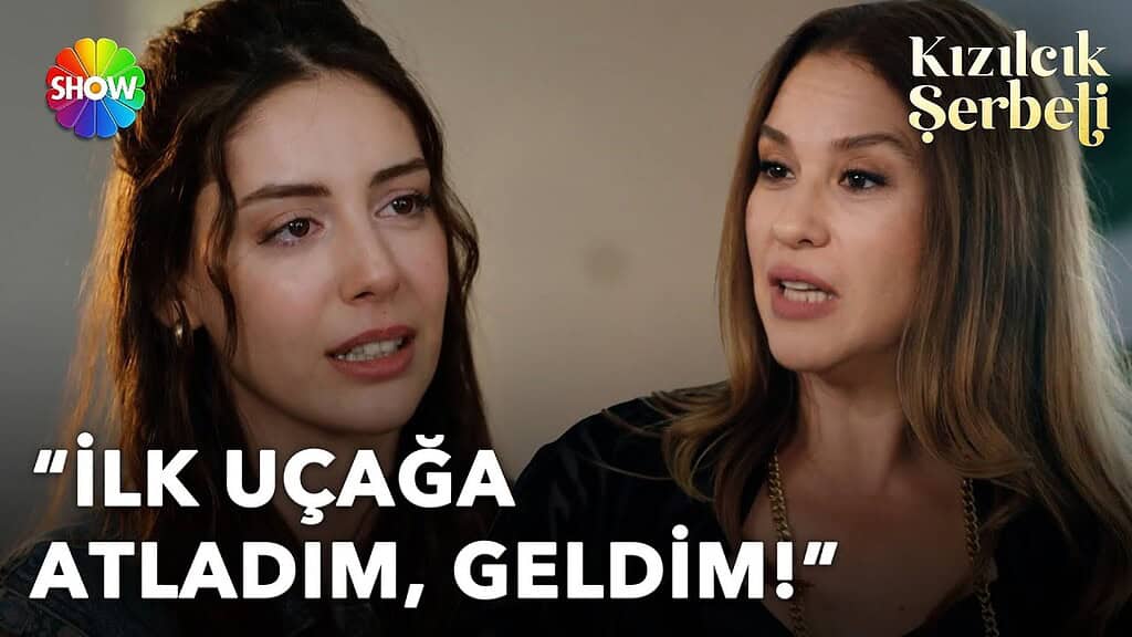 The Bear - Diziler.com