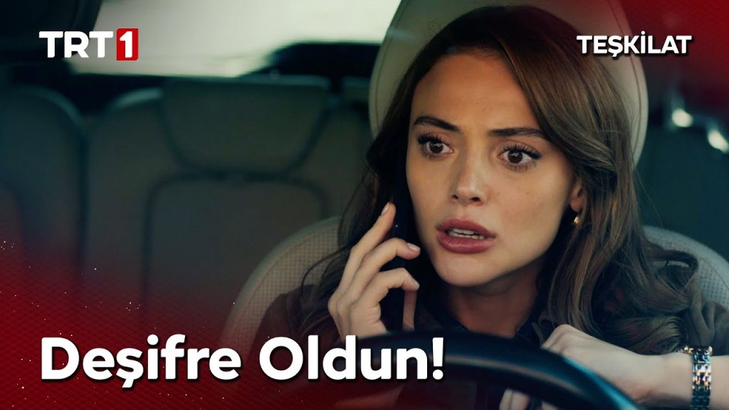 The Bear - Diziler.com