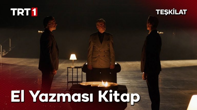 The Bear - Diziler.com